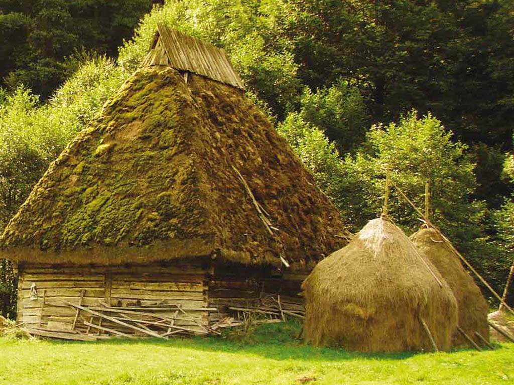 Ce se mai întâmplă în cătunul sau satul în care te-ai născut ...